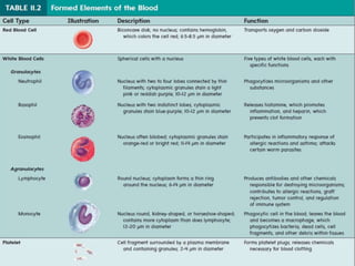 BLOOD-1.pptx