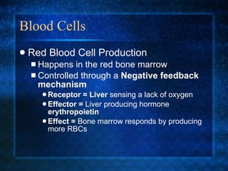 Blood | PPT