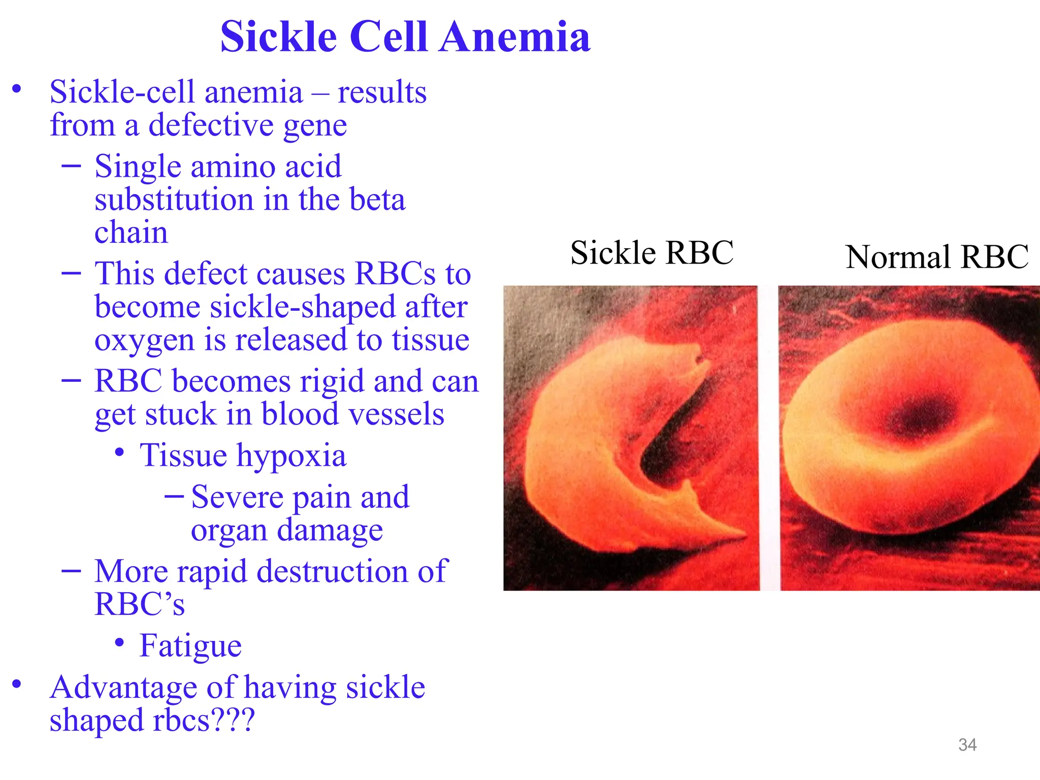 Blood-1 presented by DavidManyiel(1).ppt
