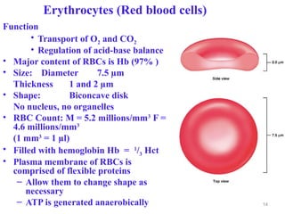 Blood-1 presented by DavidManyiel(1).ppt