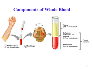 Blood-1 presented by DavidManyiel(1).ppt