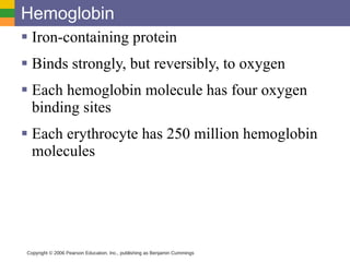 Blood ppt slides | PPT