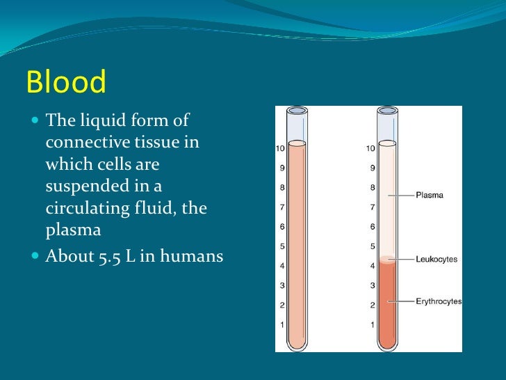 Blood