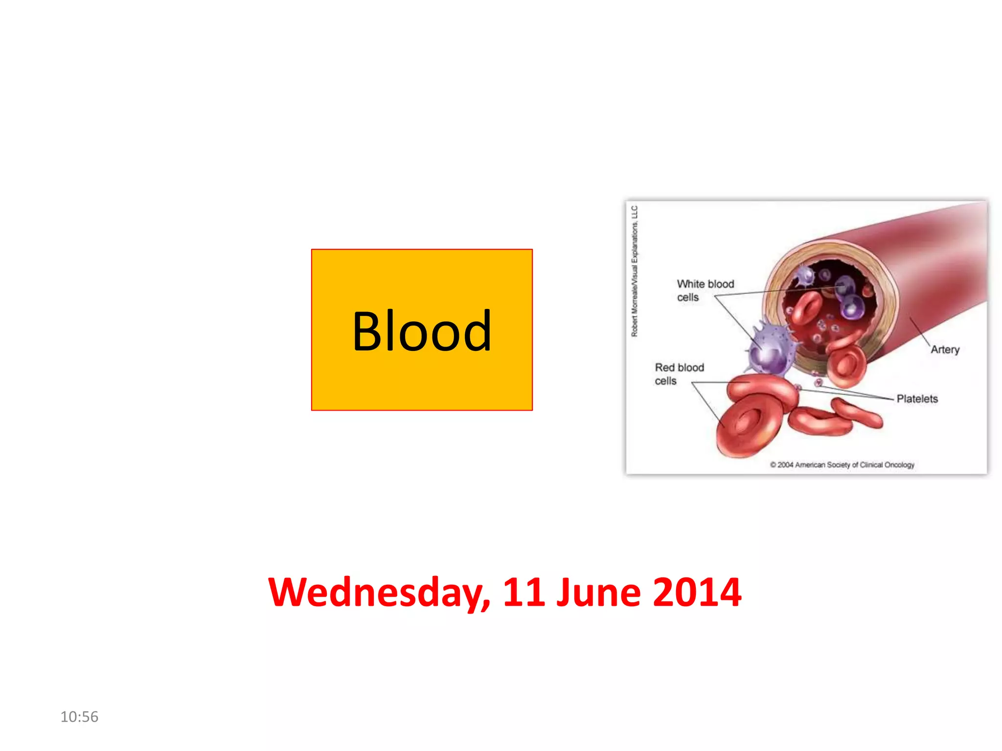 Blood GCSE | PPTX