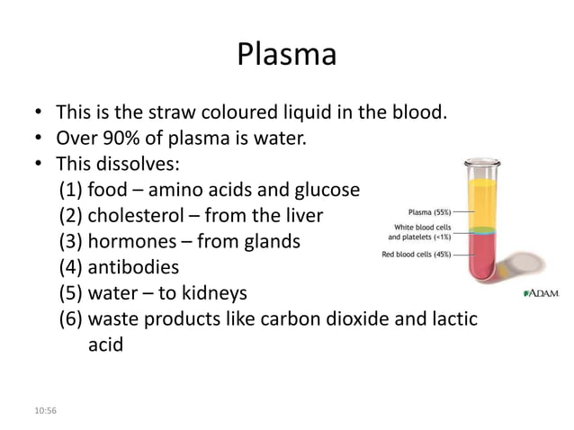 Blood GCSE | PPT