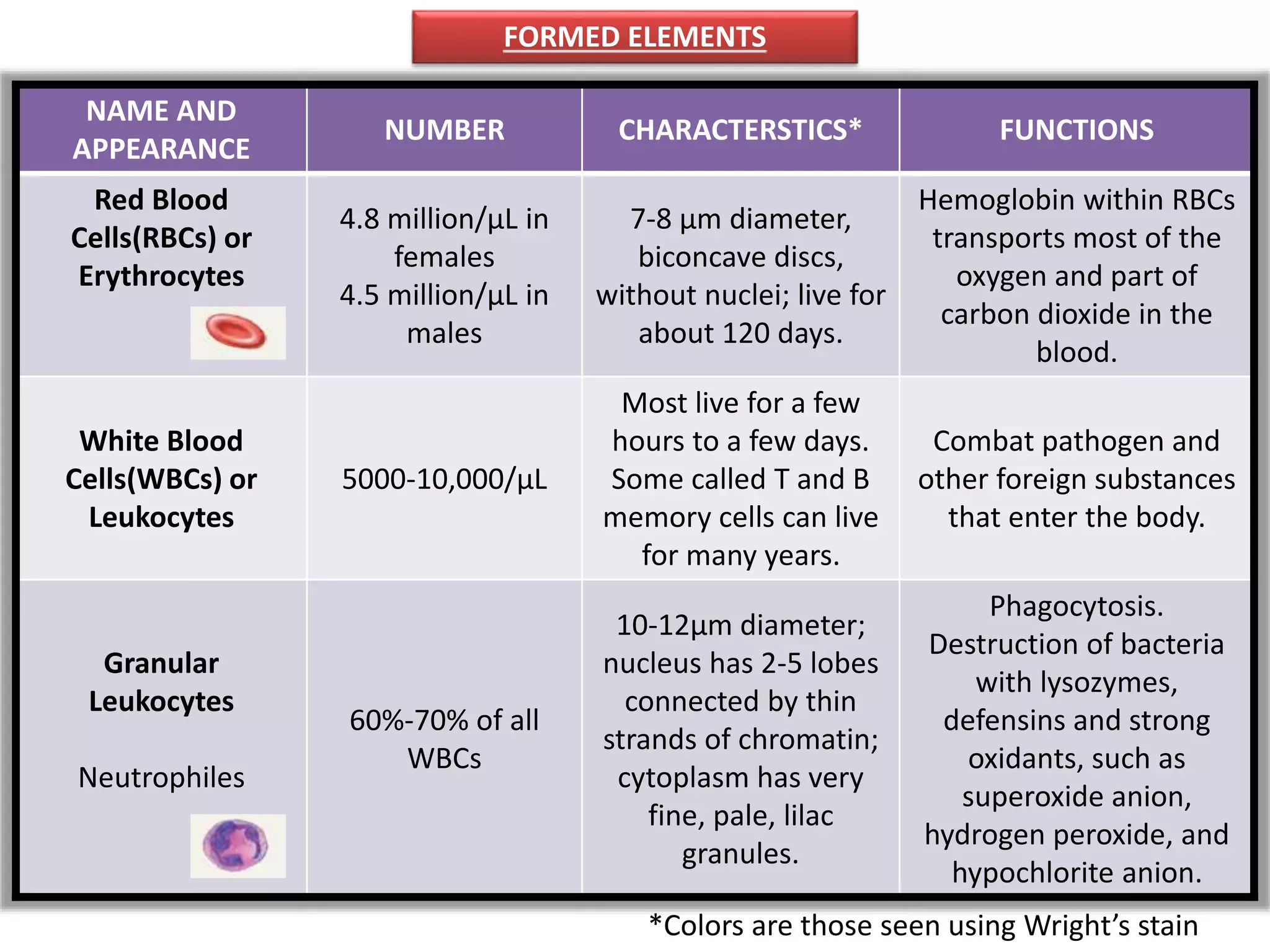 Blood- composition and function | PPTX