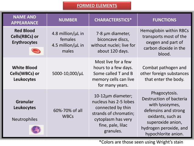 Blood- composition and function | PPTX | Blood Disorders | Diseases and ...