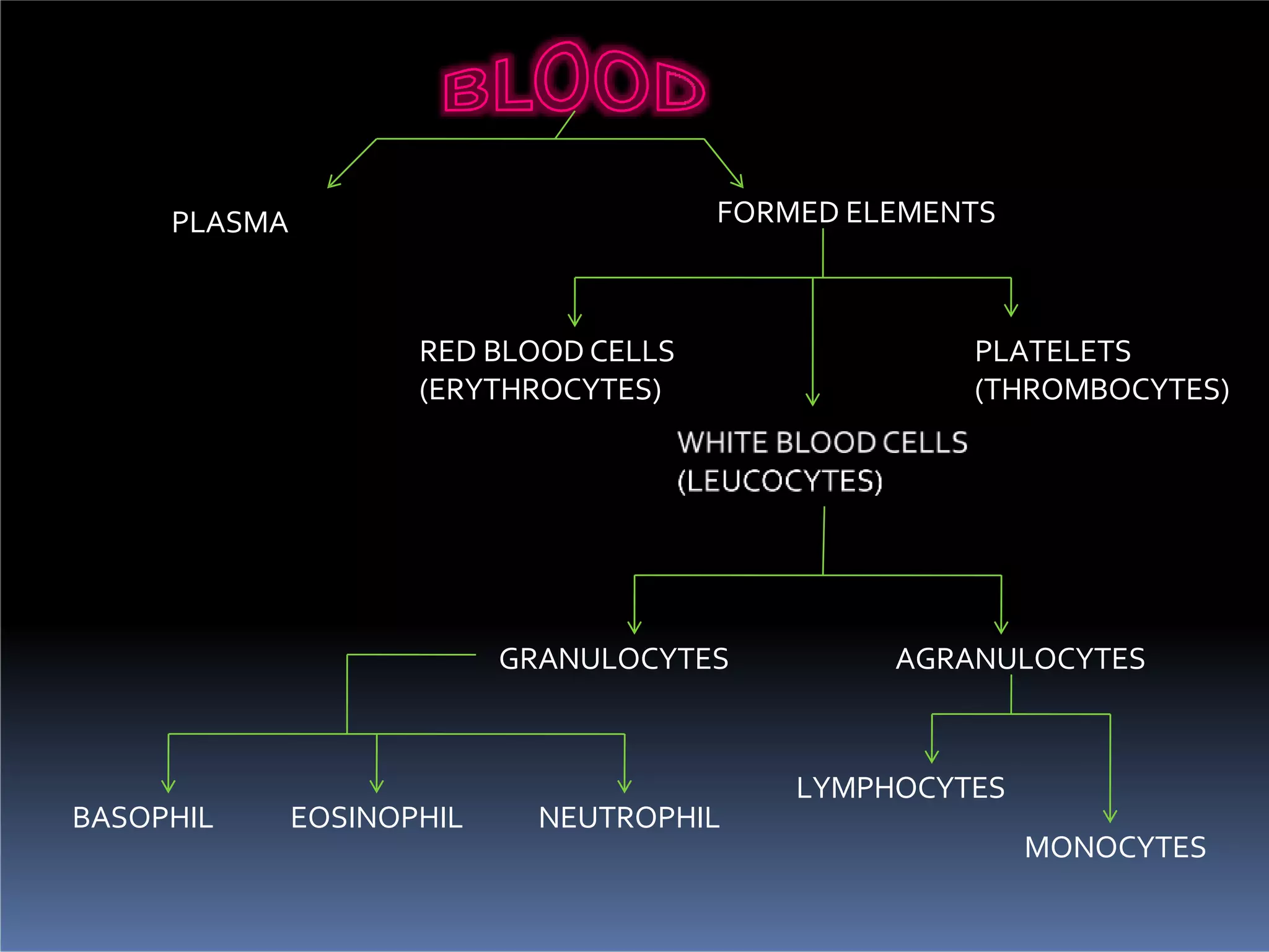 blood-conversion | PPT