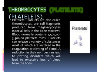 blood-conversion | PPT