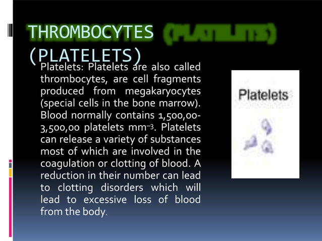 blood-conversion | PPT