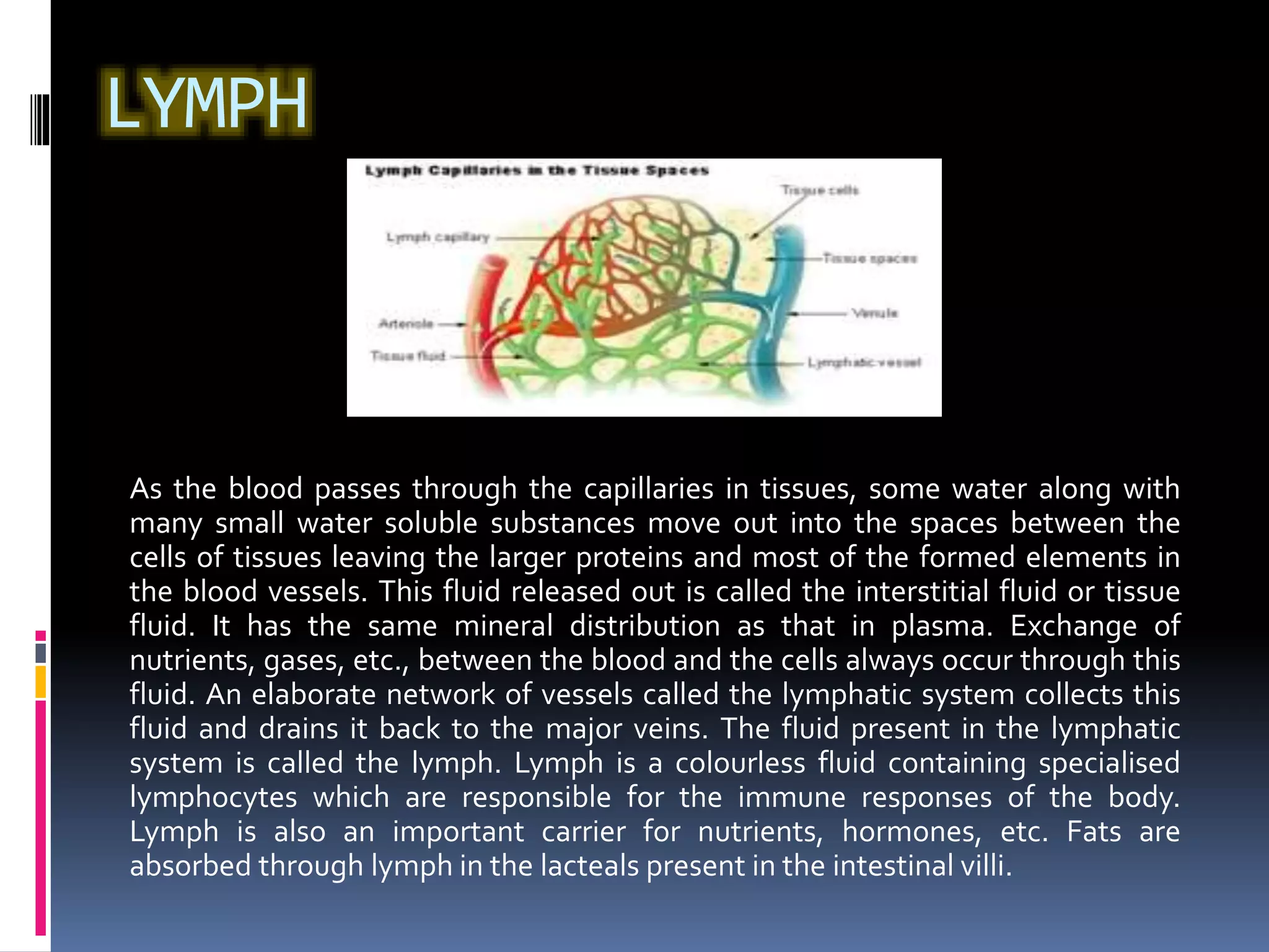 BODY FLUIDS AND CIRCULATION | PPTX