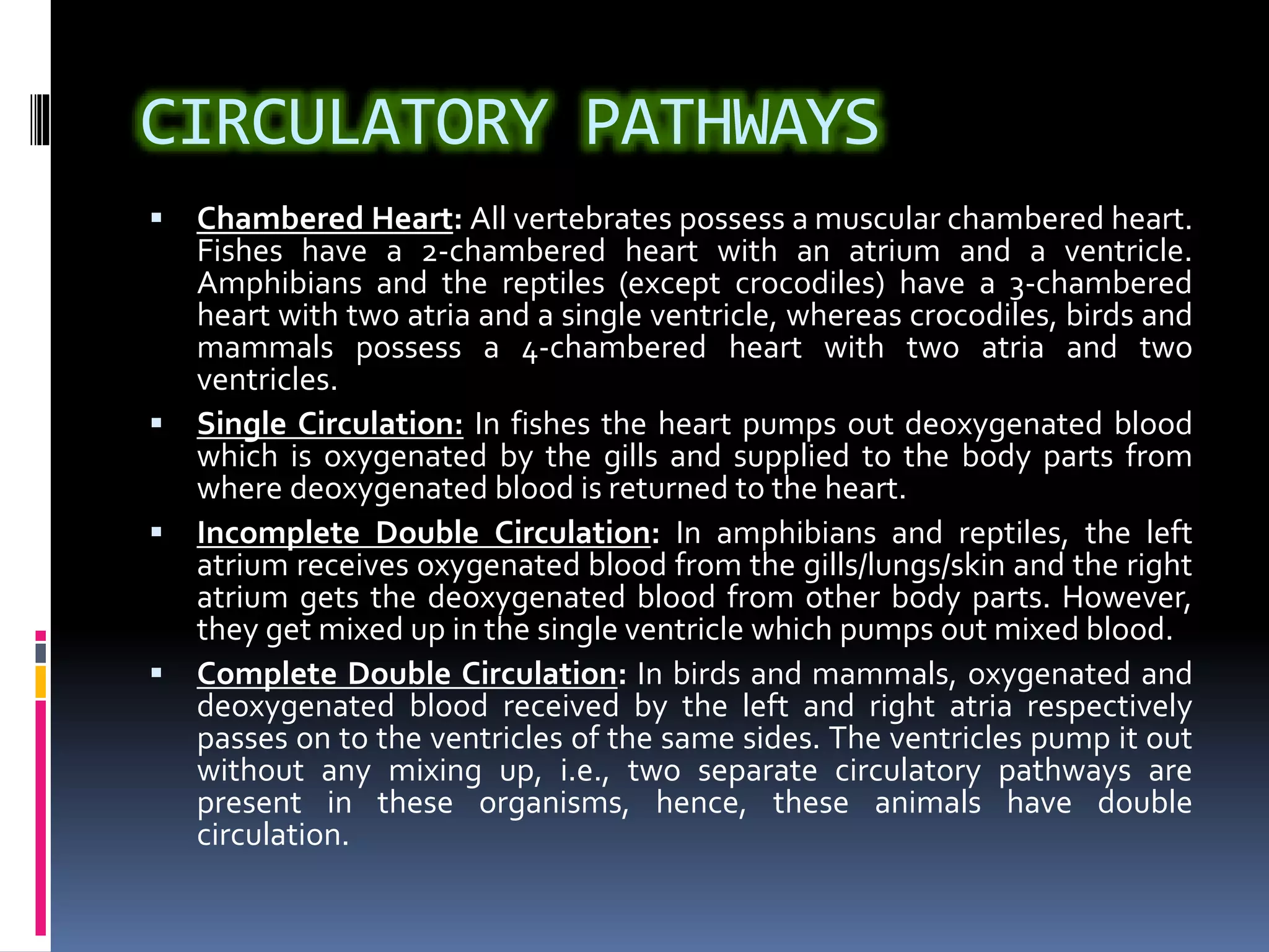 BODY FLUIDS AND CIRCULATION | PPTX
