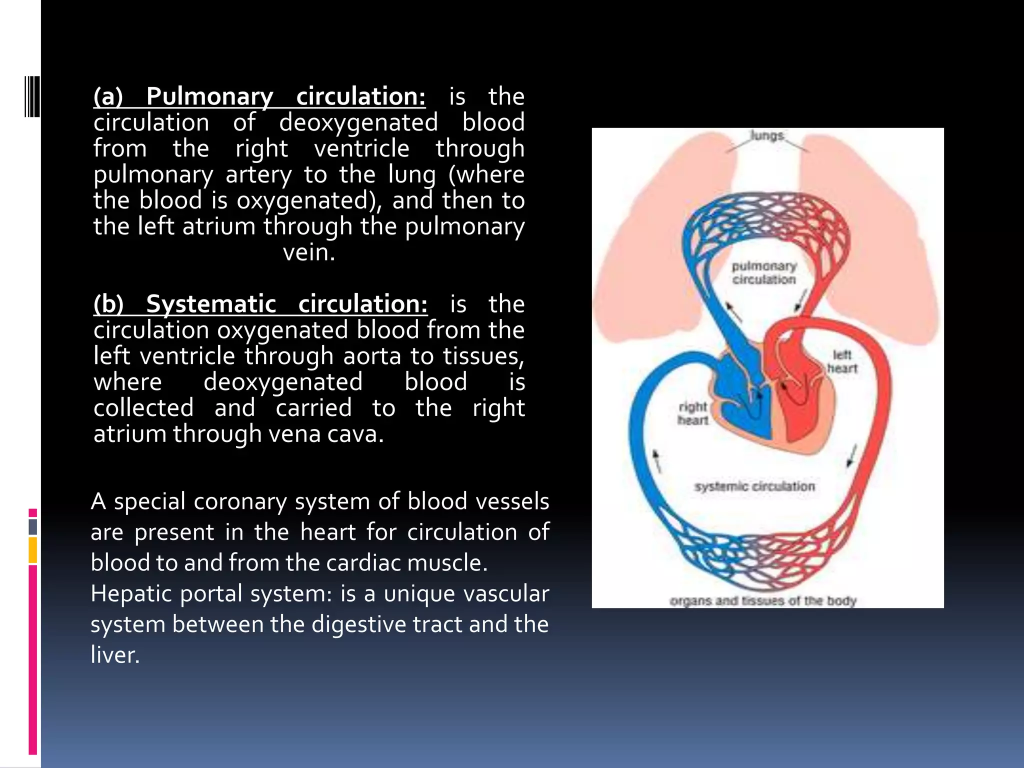 BODY FLUIDS AND CIRCULATION | PPTX