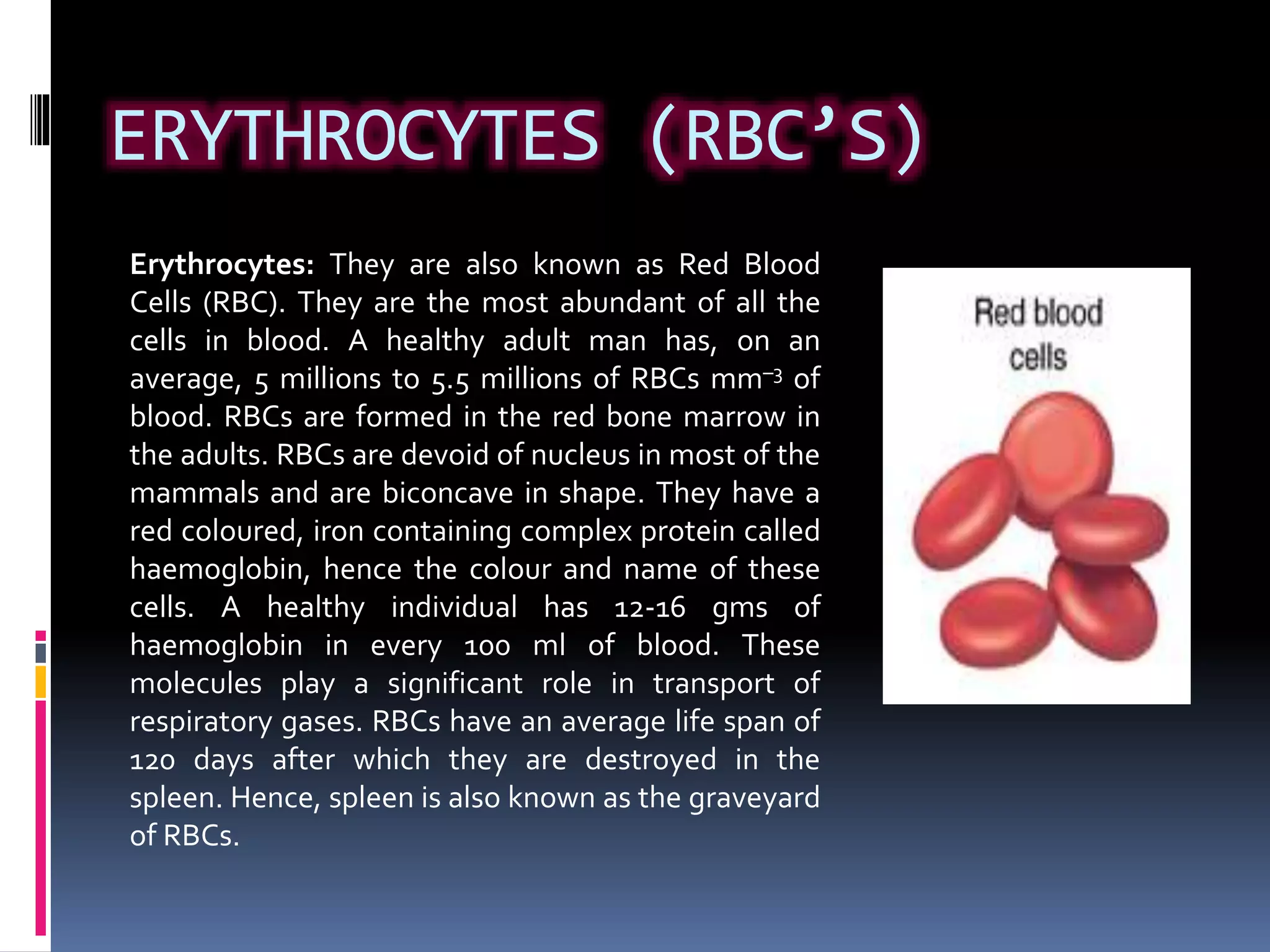 BODY FLUIDS AND CIRCULATION | PPTX
