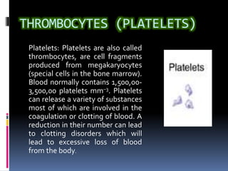 BODY FLUIDS AND CIRCULATION | PPTX