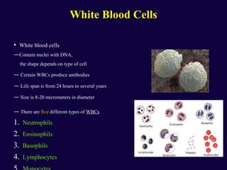Blood | PPT