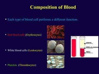 Blood | PPT