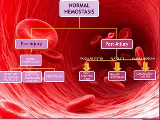 HEMOSTASIS OF BLOOD | PPT