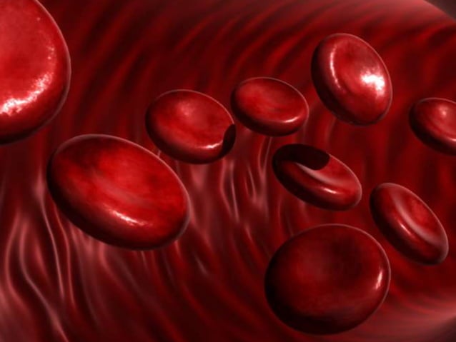 Blood - hemo | PPT