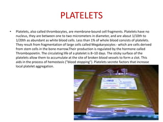 Blood | PPT