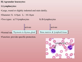 The Blood Cell, Immunity and blood coagulation | PPT
