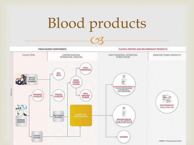 Blood,blood products and blood transfusion | PPTX