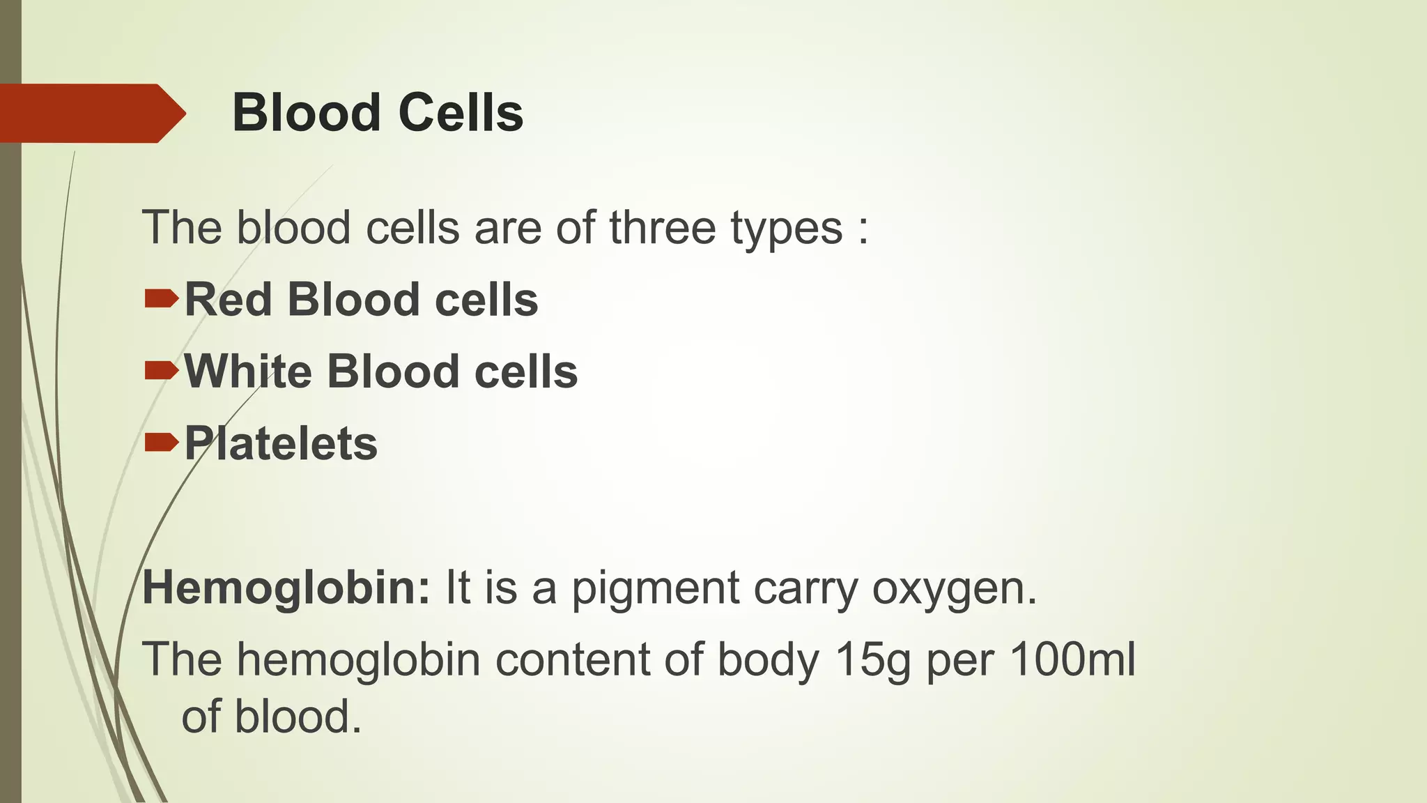 Blood | PPTX