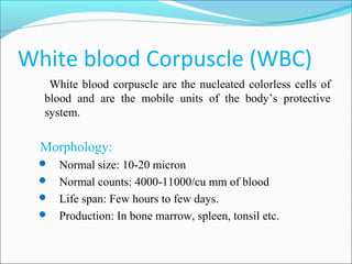 Blood | PPT
