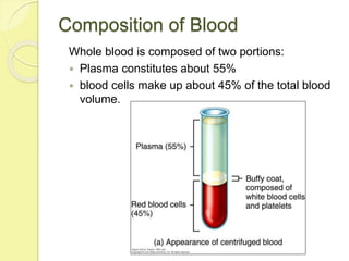 Blood and hematopoietic system | PPTX
