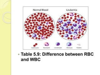 Blood and hematopoietic system | PPTX