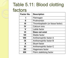 Blood and hematopoietic system | PPTX