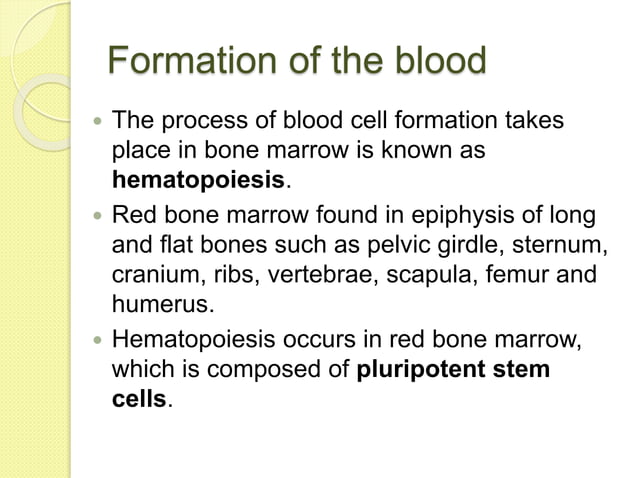 Blood and hematopoietic system | PPTX | Blood Disorders | Diseases and Conditions