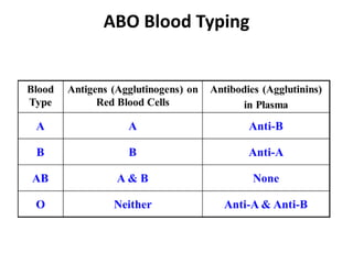 Blood anatomy and physiology | PPTX
