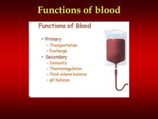 Important Functions Of Blood _ Why Your Blood is Important – LKJQD