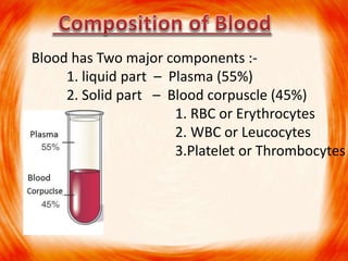 Blood | PPTX