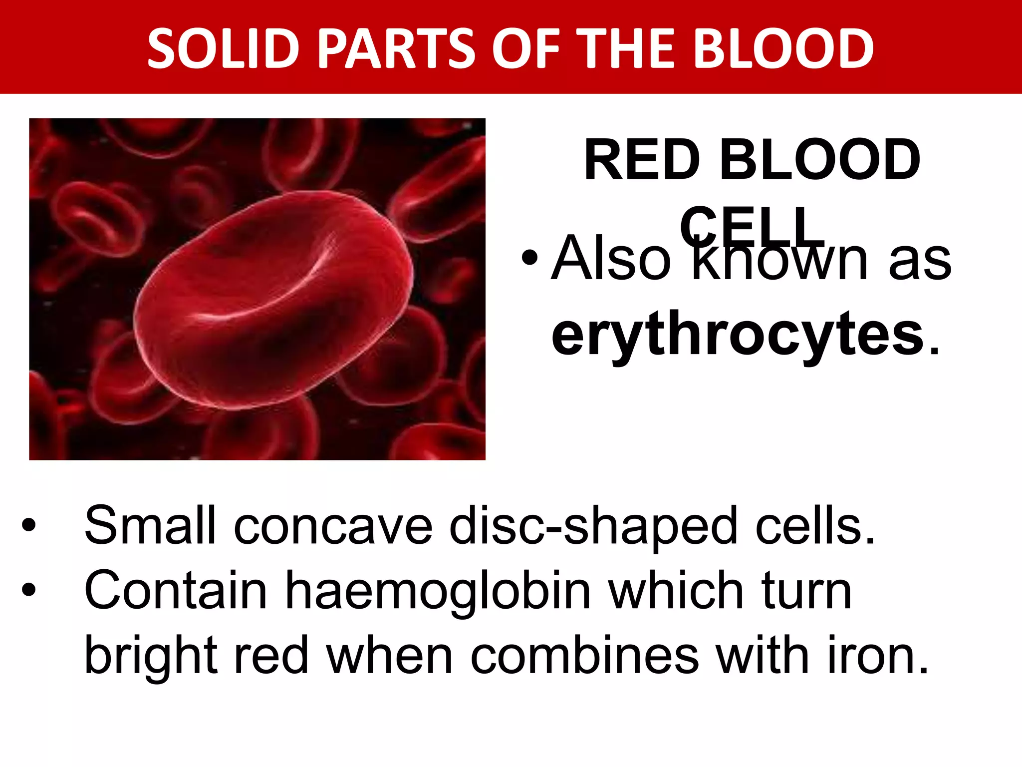 The Human Blood | PPTX