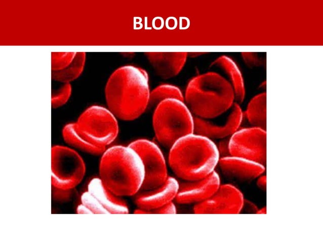 The Human Blood | PPT
