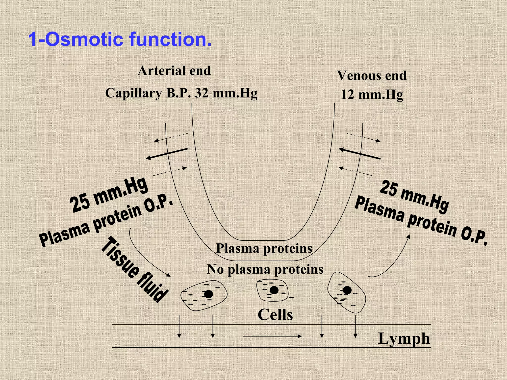 Blood #1, Plasma - Physiology | PPT