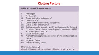 Blood | PPTX