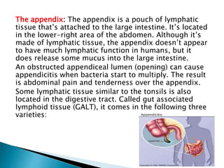 Blood | PPTX | Blood Disorders | Diseases and Conditions