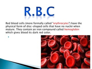 Blood | PPTX