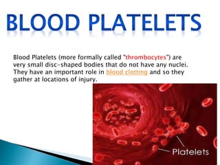 Blood | PPTX | Blood Disorders | Diseases and Conditions