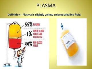 Blood (circulatory system) | PPT