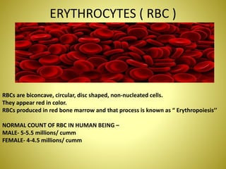 Blood (circulatory system) | PPT