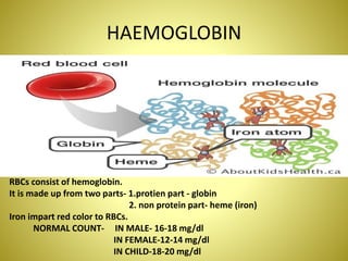 Blood (circulatory system) | PPT