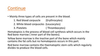 Blood | PPTX
