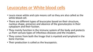 Blood | PPT