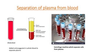 Blood | PPT