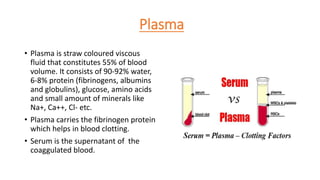Blood | PPTX