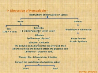 Blood Anatomy and Physiology by Vikas Chouhan | PPT